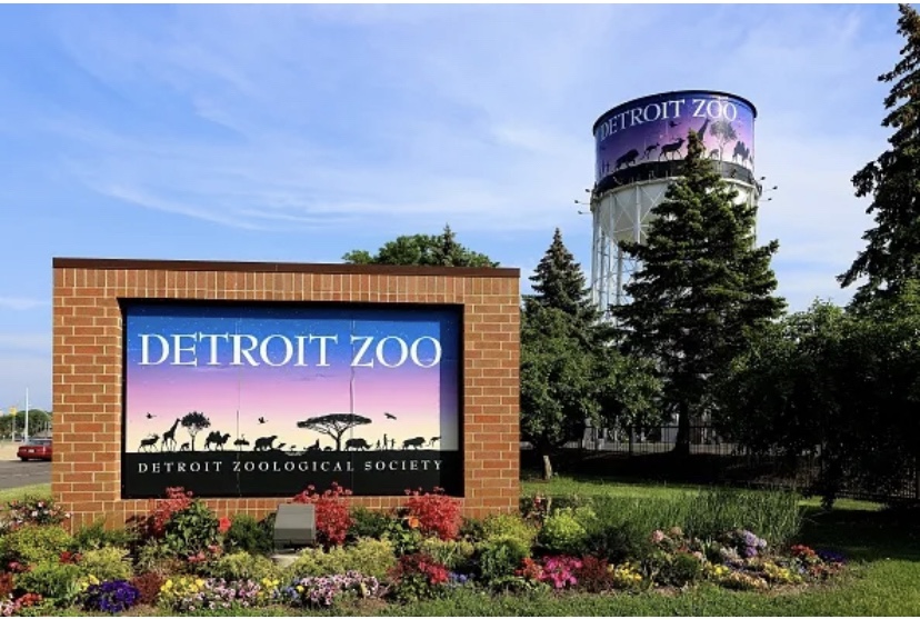 Detroit Zoo – o zoológico de Michigan – Morar nos EUA